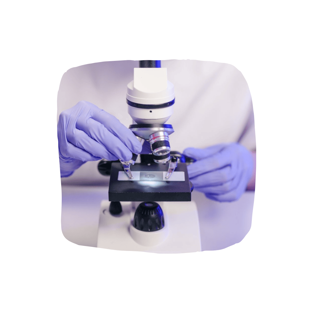 Servicios - Conoce lo que hacemos | ALTRUS